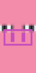 PIG/CERDO Minecraft Banner