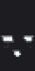 face Minecraft Banner