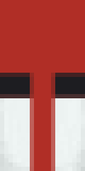 123 -BfDi Minecraft Banner