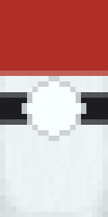 pokemon Minecraft Banner