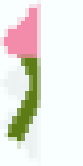Pink rose banner 🌷 Minecraft Banner