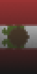 Peruvian Flag Minecraft Banner