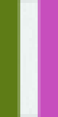 LGBTQ+ Genderqueer Pride Flag Minecraft Banner