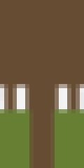 Villager Minecraft Banner