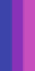 BI flag Minecraft Banner