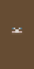 Derpy poop Minecraft Banner