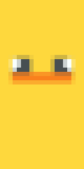 Duck Minecraft Banner