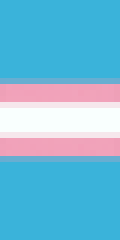 Trans Minecraft Banner