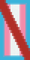 Anti Trans flag Minecraft Banner