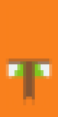 Villager Face Banner Minecraft Banner