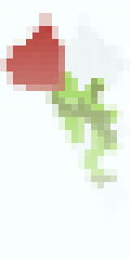 red roses Minecraft Banner