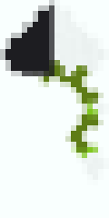 Black rose Minecraft Banner