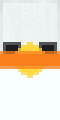 Tadpole Duck Minecraft Banner