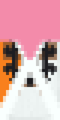 Calico Cat Minecraft Banner