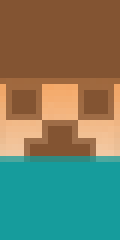 The Steve Banner Minecraft Banner