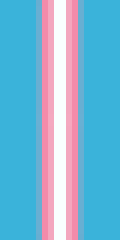 Trans Minecraft Banner