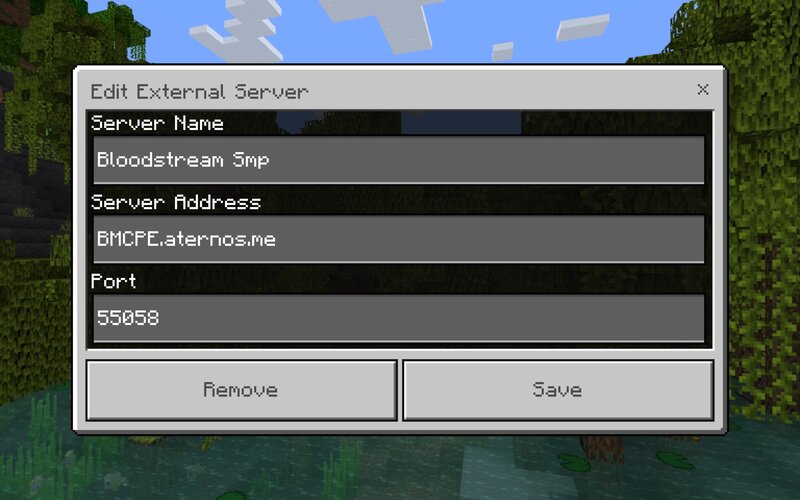 Bloodstream Smp Minecraft Bedrock Server