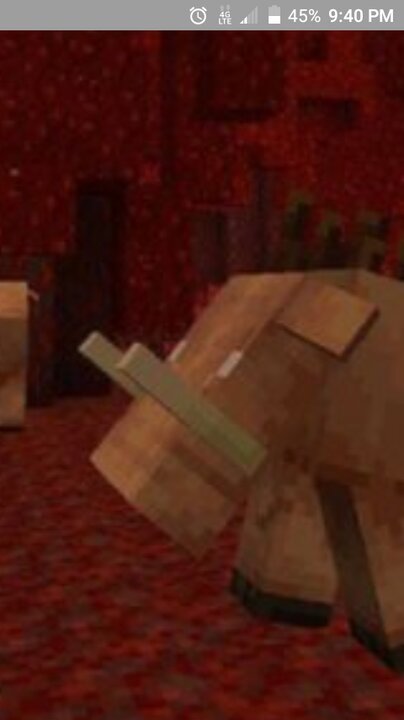 Nether, nether everywhere