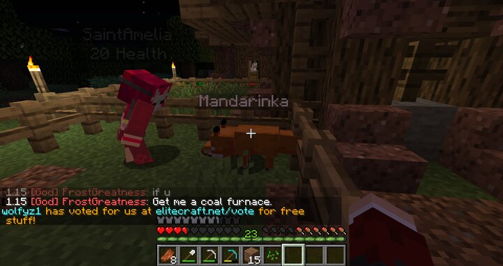 Fox named mandarinka (mandarin) Minecraft Blog