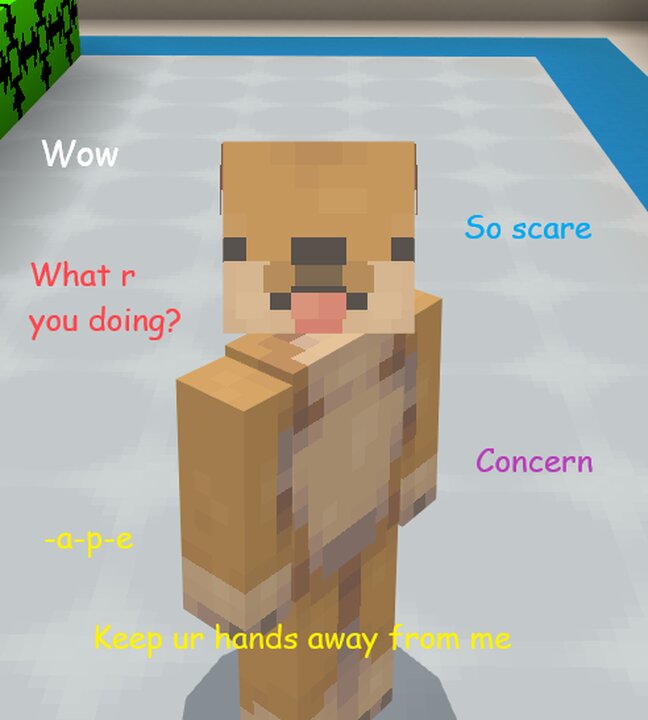 Doge Minecraft Meme