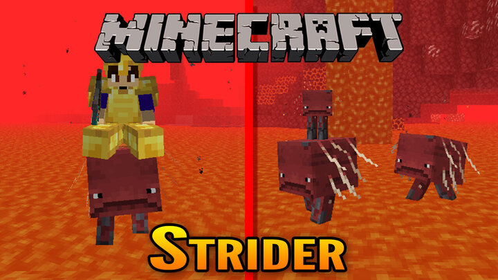 Minecraft 1.16 Nether Strider Showcase