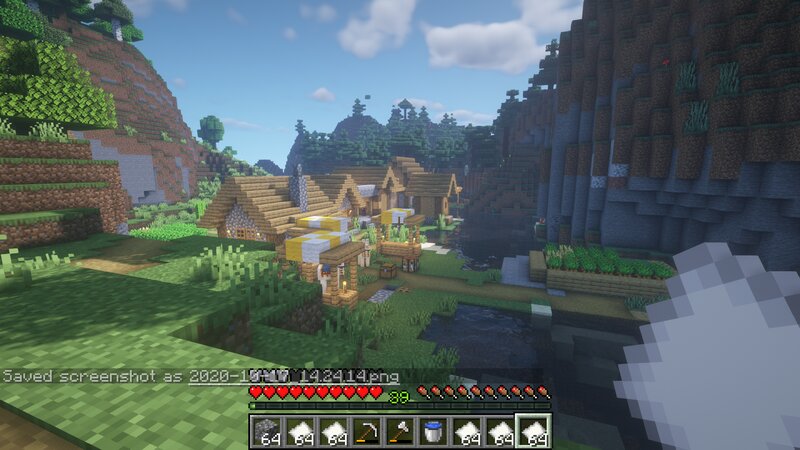 SS First days on Minecraft