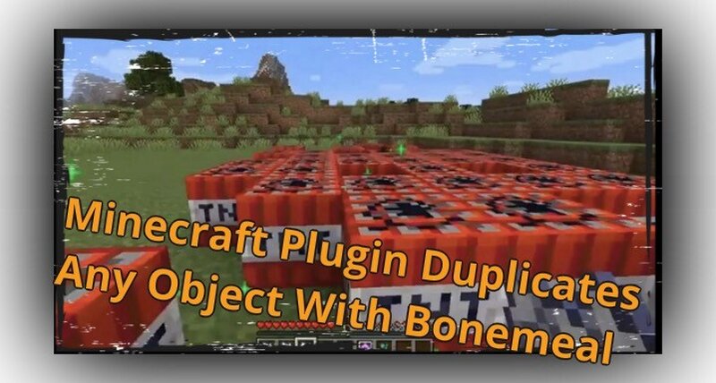 Minecraft Custom Plugin Lets Players Duplicate Any Object With Bonemeal