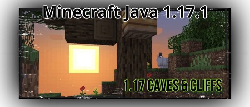 MINECRAFT JAVA EDITION 1.17.1