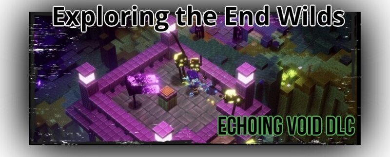 EXPLORING THE END WILDS