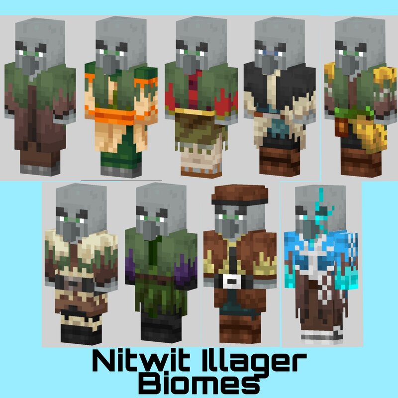My Nitwit Illagers(Re Textured)