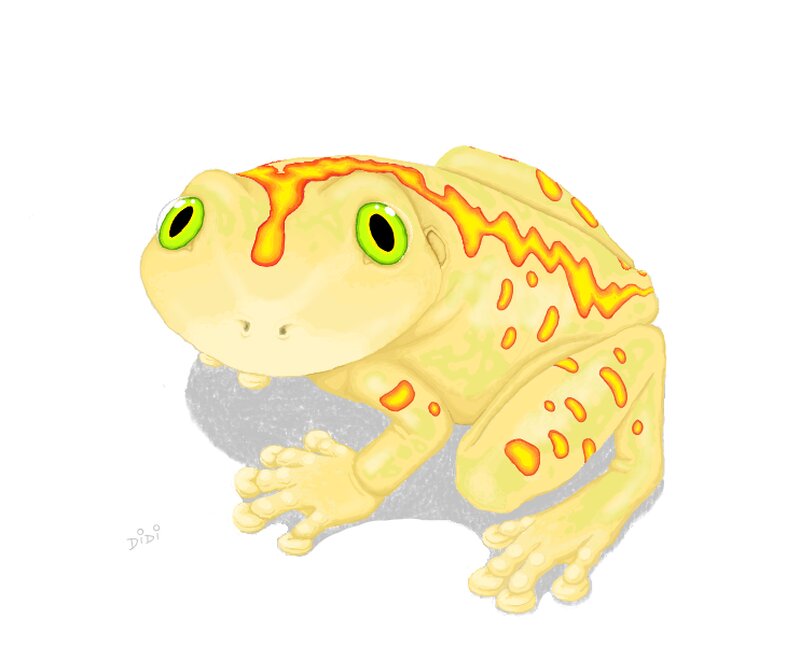 FROG