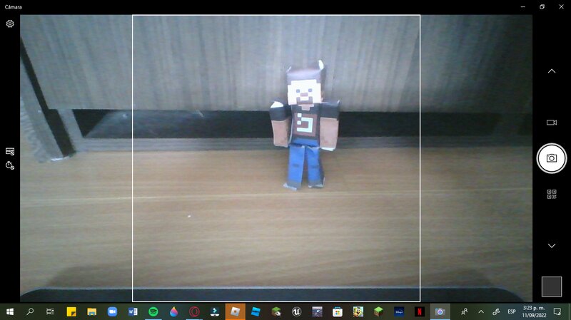 my minecraft character in real life