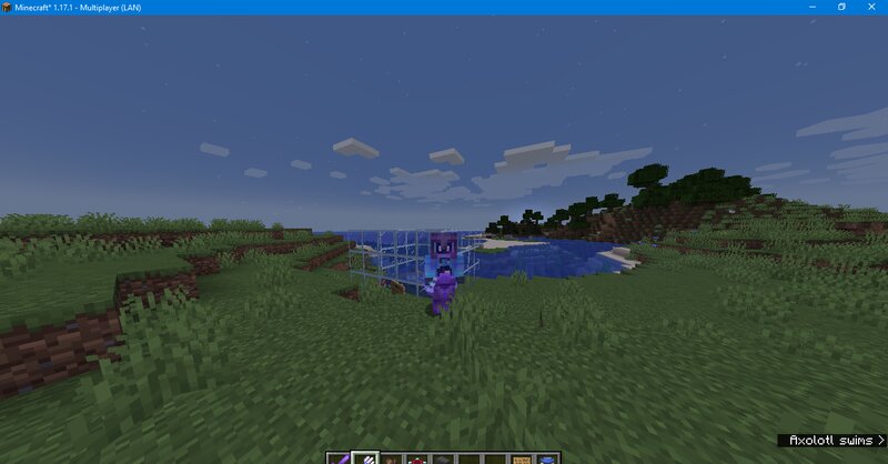 Minecraft Gameplay (Java Edition in 1.17)