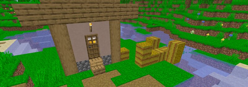 Survival tips and tricks