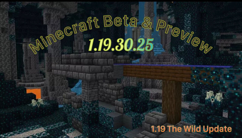 Minecraft Beta & Preview - 1.19.30.25