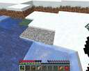 The rarest block with snow grass