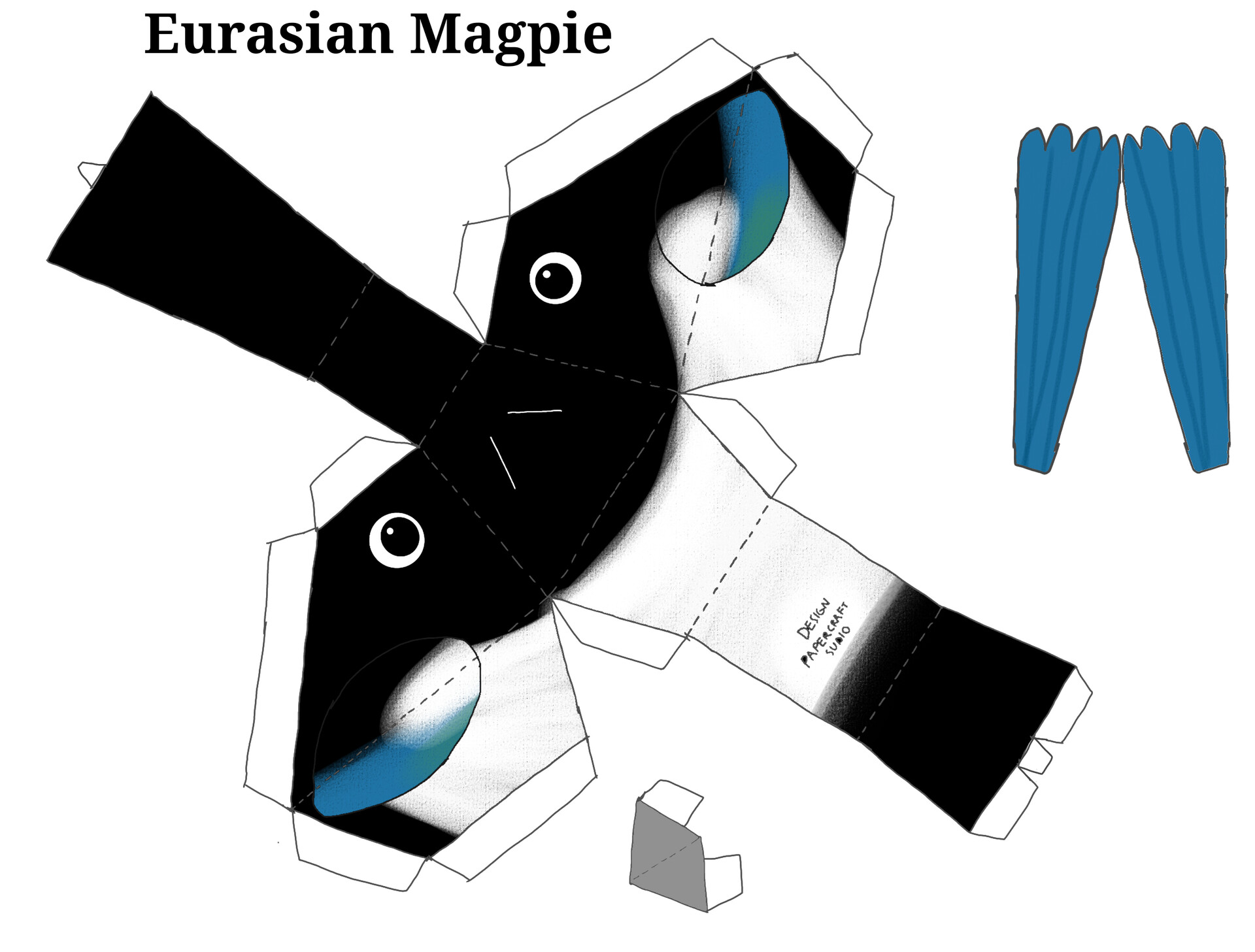 Eurasian Magpie