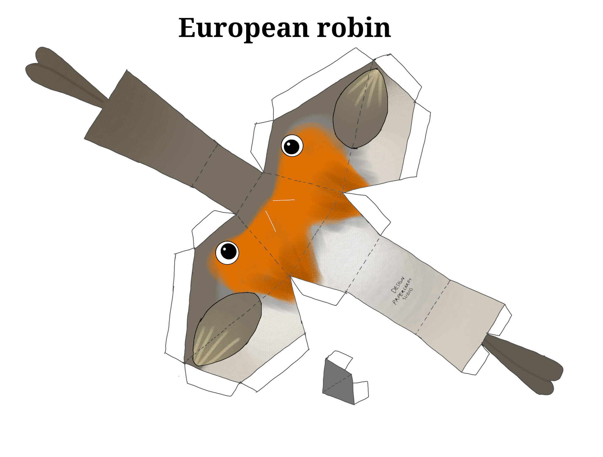 European robin
