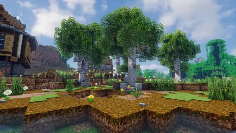 Building a Forest (blog 2)