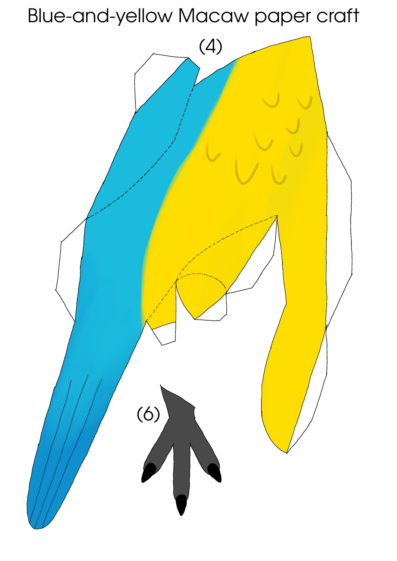 Blue-and-yellow Macaw paper craft 3