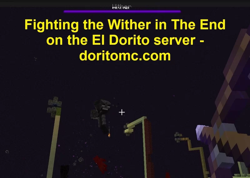 Fighting the Wither in The End on the El Dorito Minecraft server