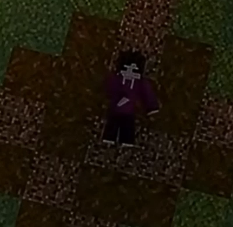 Minecraft Animations (The Forest)