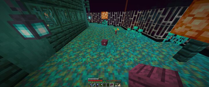 C87s Extended Dropped Item Age Minecraft Data Pack