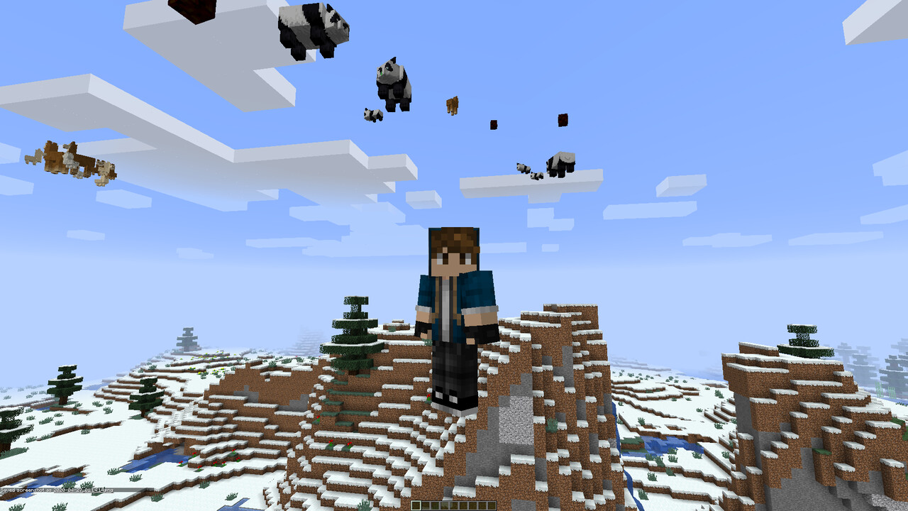 Fly Minecraft Data Pack