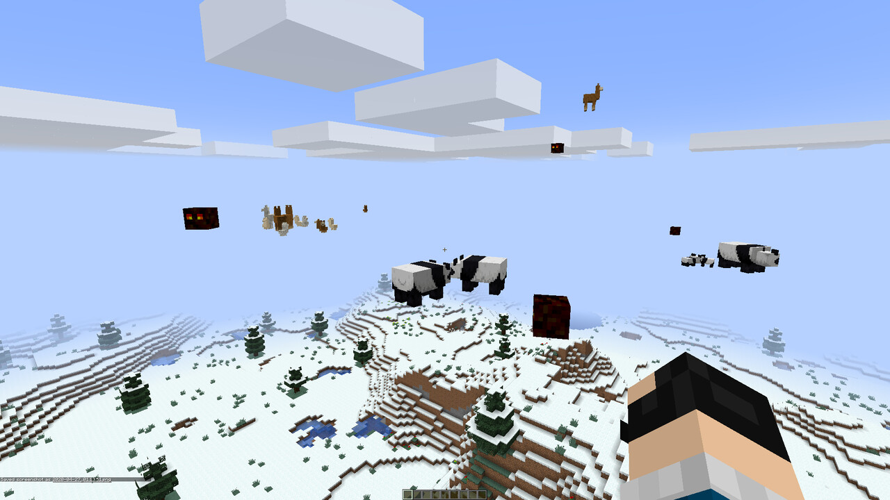 Fly Minecraft Data Pack