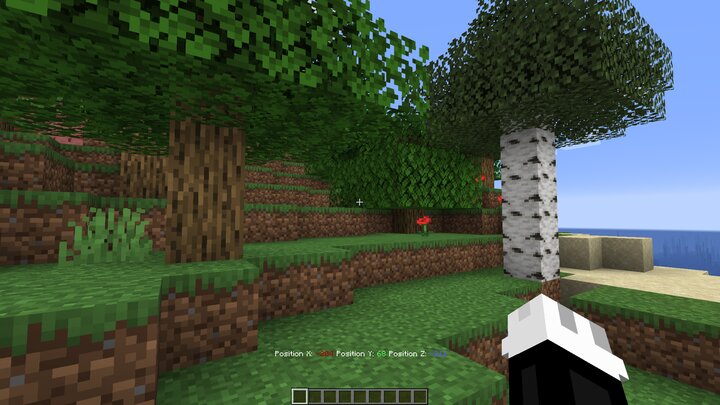 How Positions To Make A Minecraft Photo