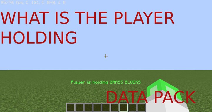WHAT IS THE PLAYER HOLDING DATA PACK! Minecraft Data Pack