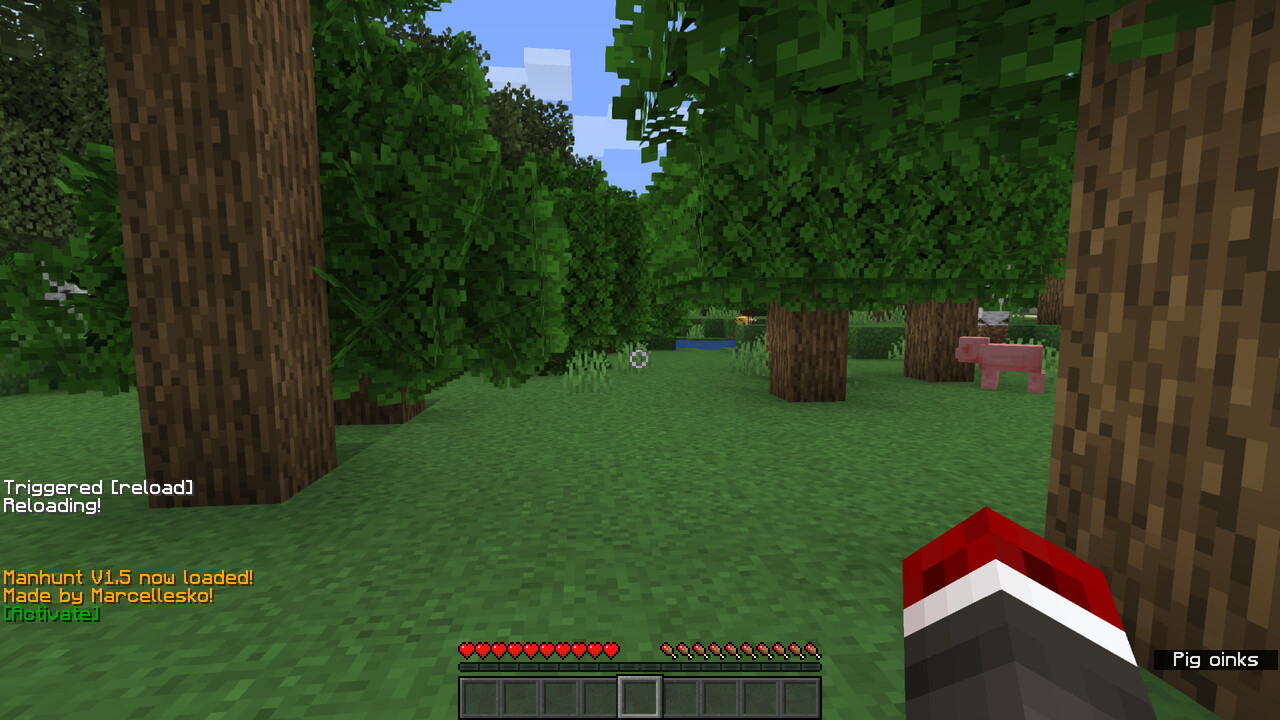 Manhunt / Speedrunner vs. Hunter Minecraft Data Pack