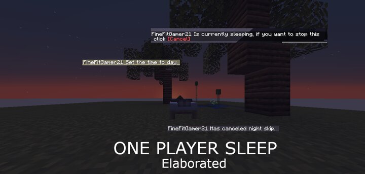 Singleplayersleep