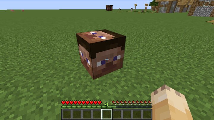 Steve Block Datapack For 1.16 - 1.17 Minecraft Data Pack